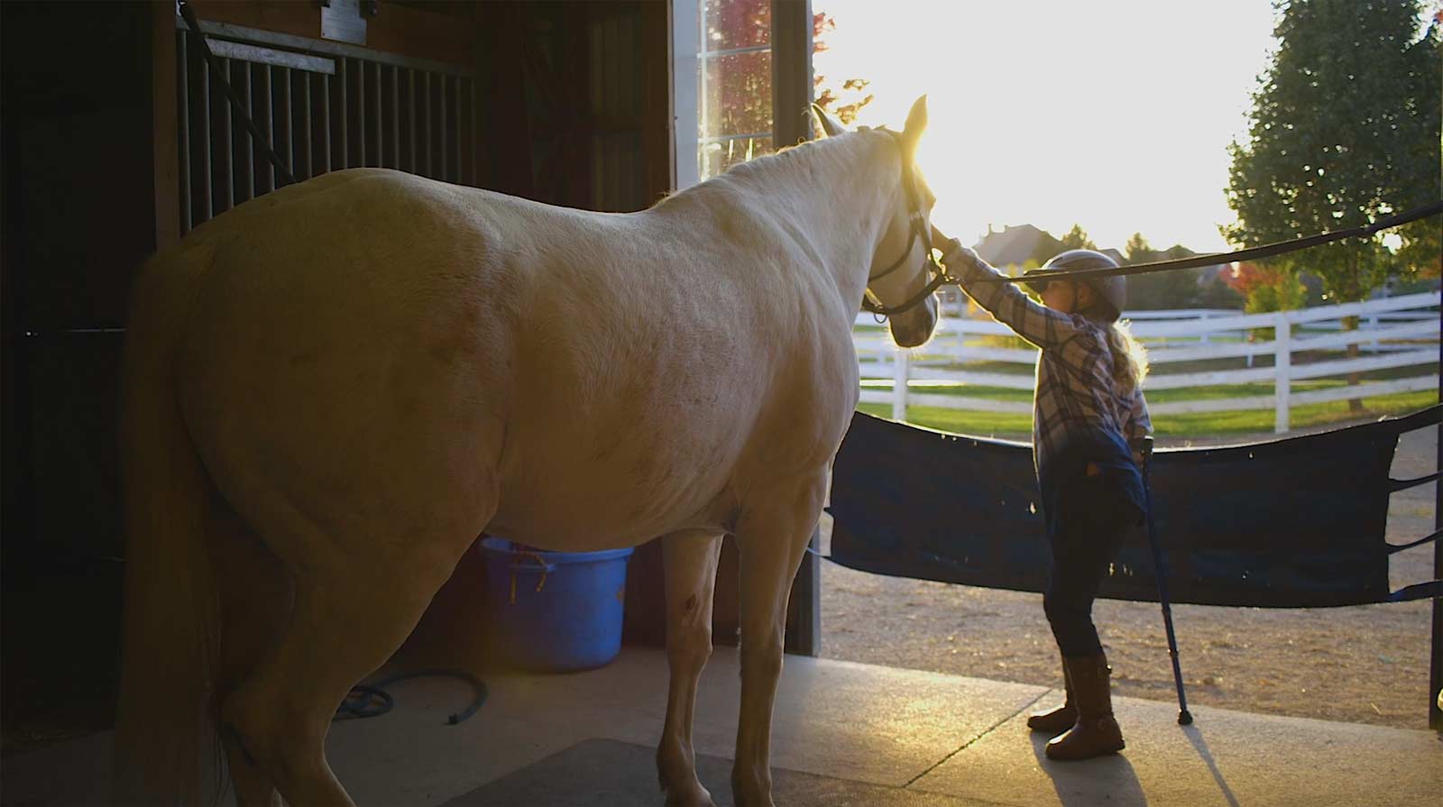 Dreams on Horseback - Enriching Lives with Horses