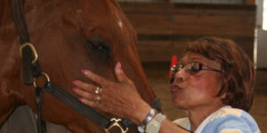 Programs - Dreams on Horseback