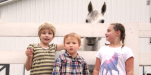 Programs - Dreams on Horseback