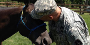 Programs - Dreams on Horseback