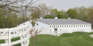 Programs - Dreams on Horseback