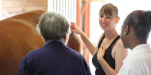 Programs - Dreams on Horseback